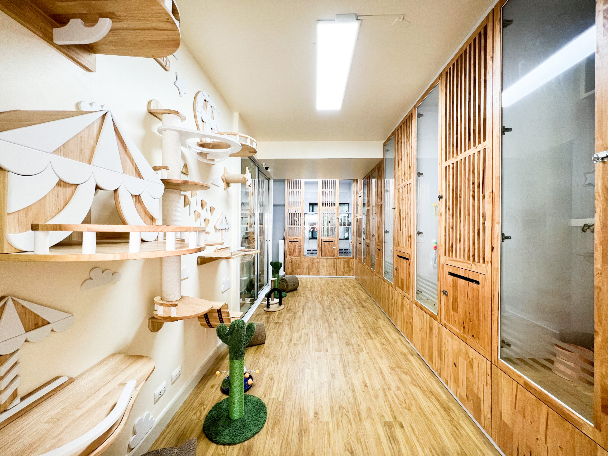 Cat Hotel Phuket และทรายแมวไม้สน