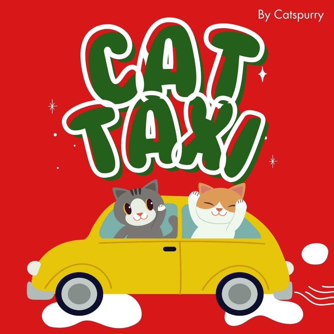 Cat Hotel Phuket และทรายแมวไม้สน